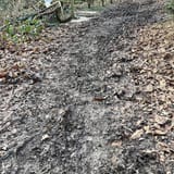 Boxley and the North Downs Circular, Kent, England - 410 Reviews, Map ...