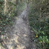 Boxley and the North Downs Circular, Kent, England - 410 Reviews, Map ...