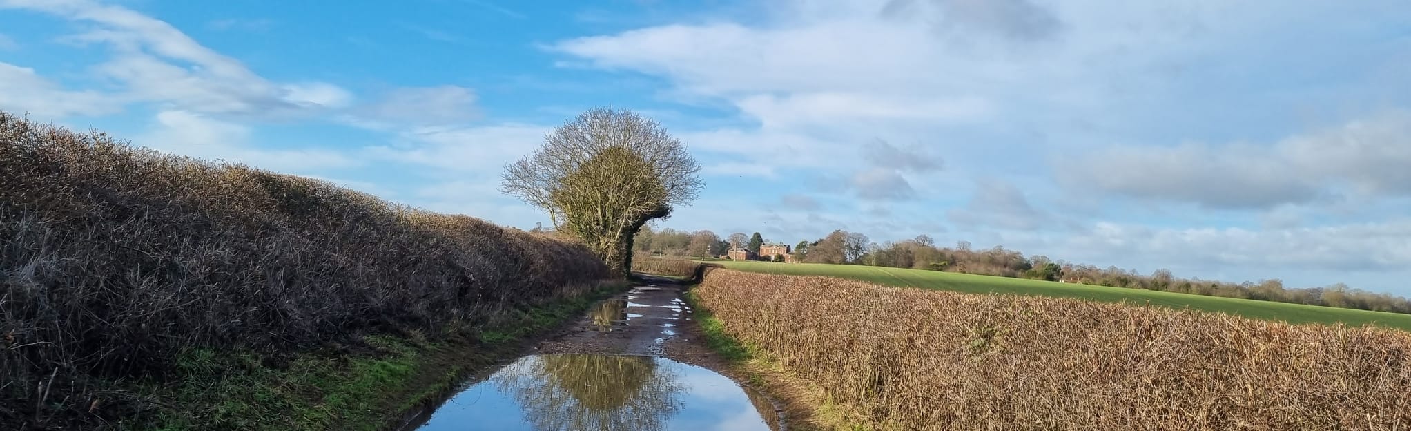 Ewelme Circular, Oxfordshire, England - 34 Reviews, Map | AllTrails