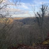 Hackfall Explorer, North Yorkshire, England - 332 Reviews, Map | AllTrails