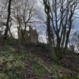 Hackfall Explorer, North Yorkshire, England - 332 Reviews, Map | AllTrails