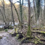 Hackfall Explorer, North Yorkshire, England - 332 Reviews, Map | AllTrails