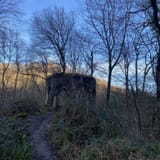 Hackfall Explorer, North Yorkshire, England - 332 Reviews, Map | AllTrails
