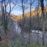 Hackfall Explorer, North Yorkshire, England - 332 Reviews, Map | AllTrails