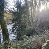 Hackfall Explorer, North Yorkshire, England - 332 Reviews, Map | AllTrails