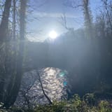 Hackfall Explorer, North Yorkshire, England - 332 Reviews, Map | AllTrails