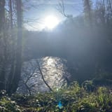 Hackfall Explorer, North Yorkshire, England - 332 Reviews, Map | AllTrails