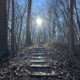 Longwoods Road Conservation Area, Ontario, Canada - 311 Reviews, Map ...