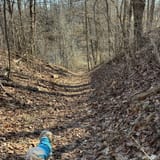 Longwoods Road Conservation Area, Ontario, Canada - 311 Reviews, Map ...