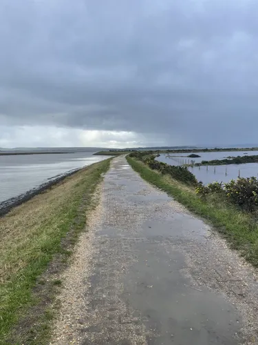 10 Best Hikes and Trails in Keyhaven and Pennington Marshes Nature ...