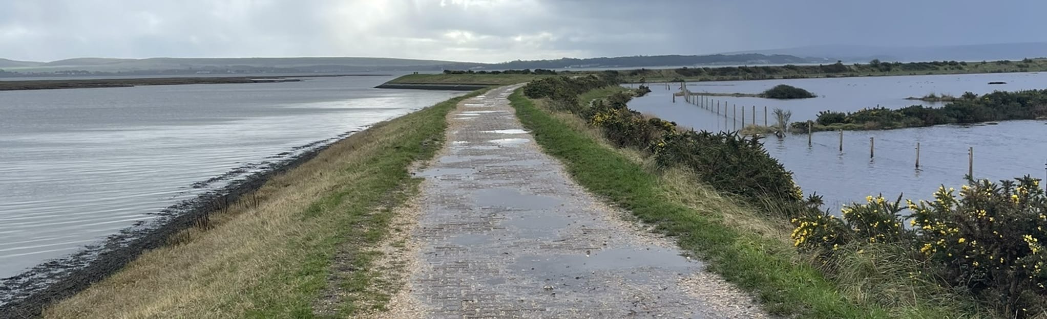 Normandy Lagoon Circular, Hampshire, England - 36 Reviews, Map | AllTrails