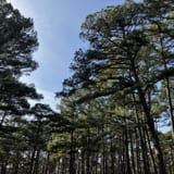 Chadwick OHV Trail, Missouri - 40 Reviews, Map | AllTrails