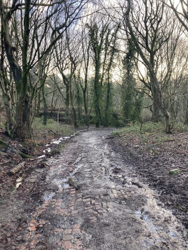 Best Hikes and Trails in Beacon Country Park | AllTrails