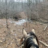 Moccasin Gap Trail System, Arkansas - 19 Reviews, Map | AllTrails