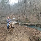 Moccasin Gap Trail System, Arkansas - 19 Reviews, Map | AllTrails