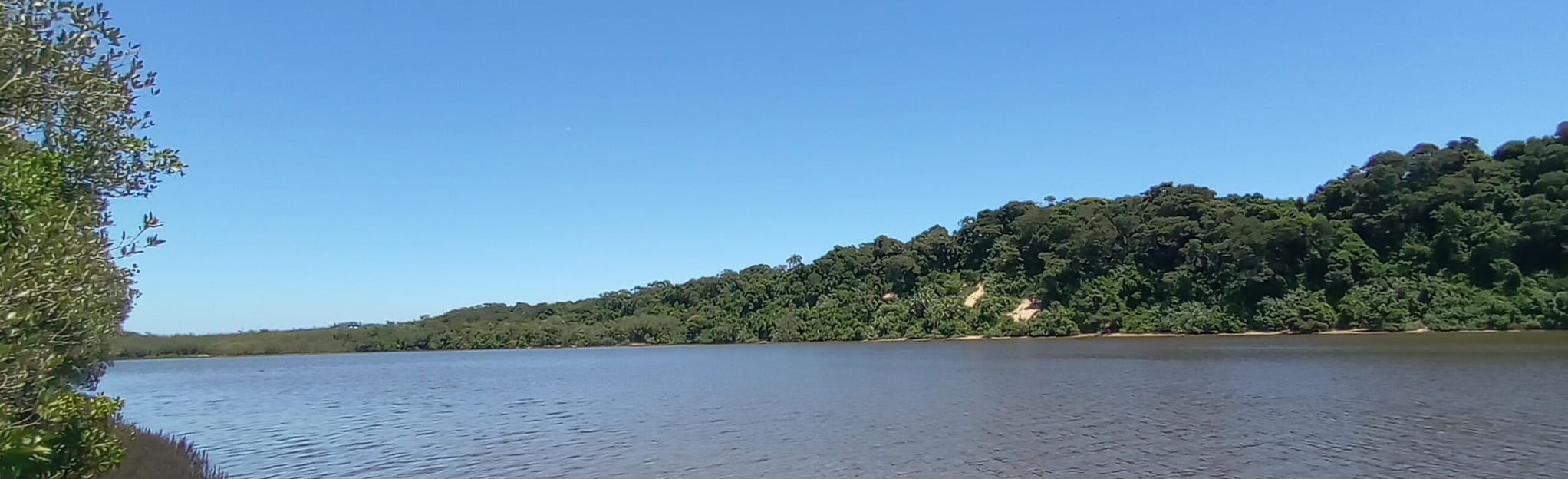 uMlalazi Nature Reserve Trail: 3 foto's - KwaZoeloe-Natal, Zuid-Afrika ...