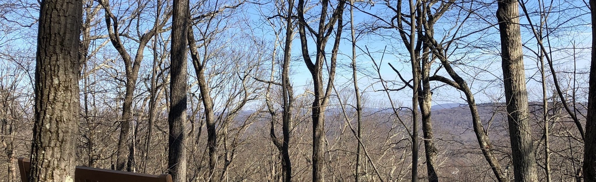 Mallory Preserve White, Yellow, and Light Blue Trail Loop, Connecticut ...