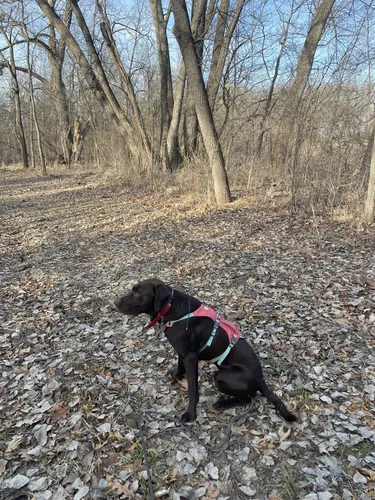 Best Hikes and Trails in Frytown Conservation Area | AllTrails