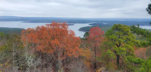 Best Hikes and Trails in Rattlesnake Ridge Natural Area | AllTrails