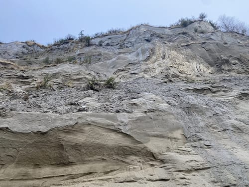 Best Hikes and Trails in Double Bluff Park | AllTrails