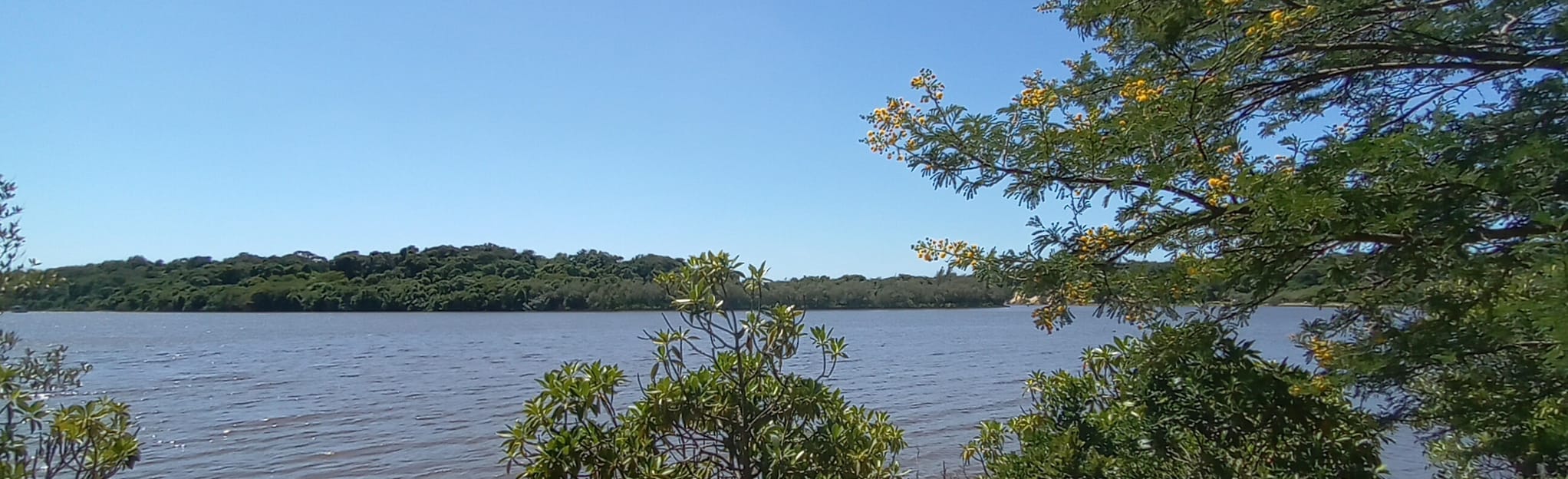 Mtunzini River and Beach Trail: 15 Reviews, Map - Kwazulu-Natal, South ...