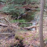 Little Traverse Lake, Michigan - 49 Reviews, Map | AllTrails