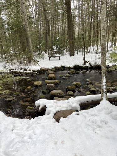 Best Hikes and Trails in Plover River State Fishery Area | AllTrails