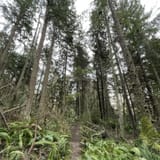 Ridge Loop Trail , Washington - 357 Reviews, Map | AllTrails