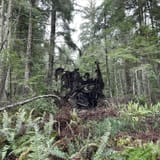 Ridge Loop Trail , Washington - 357 Reviews, Map | AllTrails