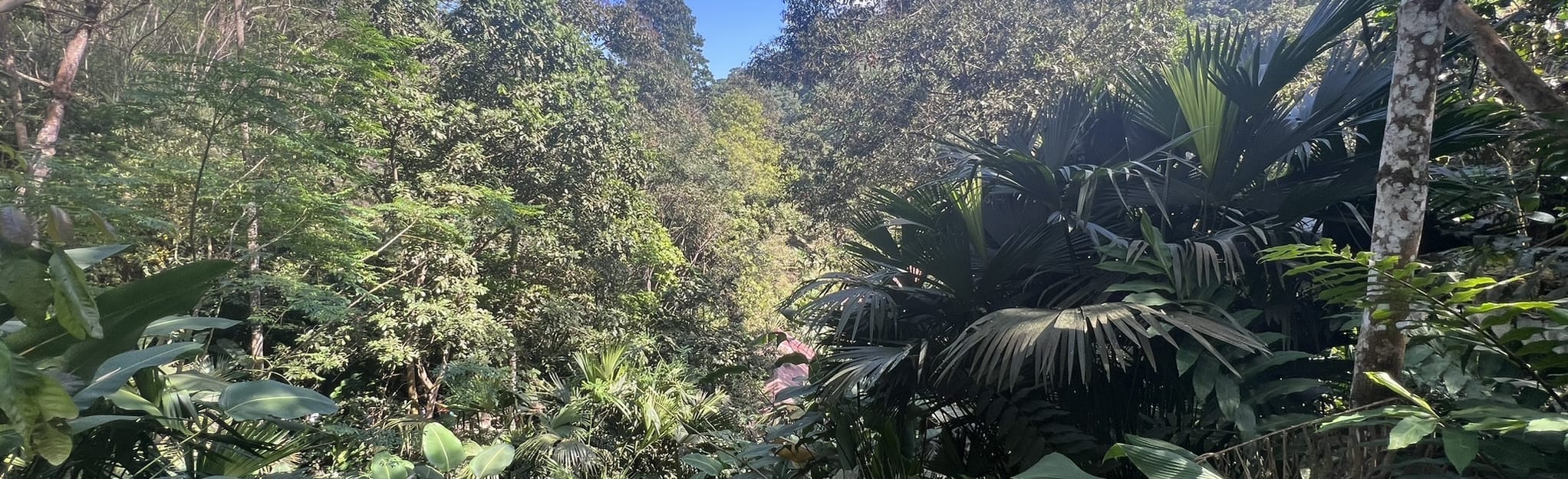 Marinka Waterfalls: 174 Reviews, Map - Magdalena, Colombia | AllTrails