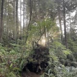 Ridge Loop Trail , Washington - 357 Reviews, Map | AllTrails