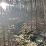 Bunkum Cave Trail, Tennessee - 247 Reviews, Map | AllTrails