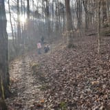 Bunkum Cave Trail, Tennessee - 247 Reviews, Map | AllTrails