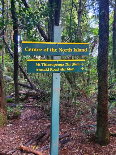 Best Hikes and Trails in Pureora Forest Park | AllTrails