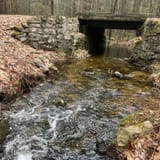 Douglas Forest Wallis Pond Loop Trail, Massachusetts - 867 Reviews, Map ...