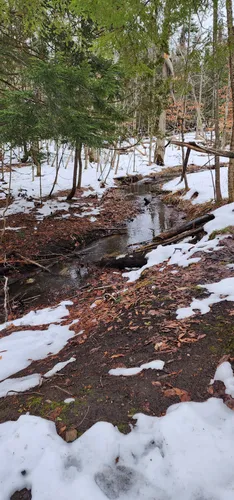 Best Hikes and Trails in Bubbling Springs Nature Preserve | AllTrails