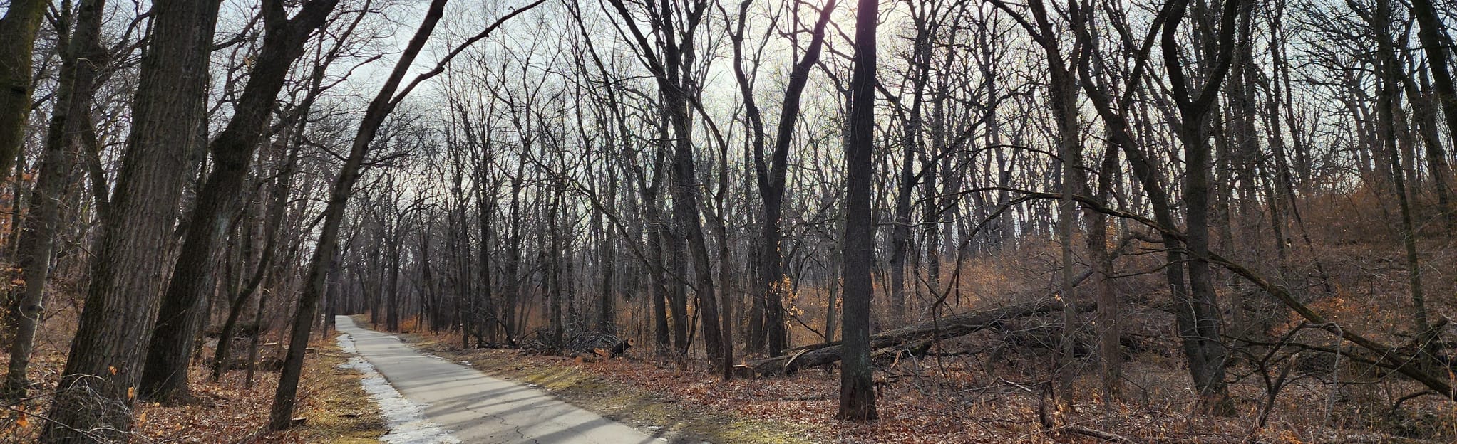 Walnut Creek Trail: 203 Reviews, Map - Iowa | AllTrails