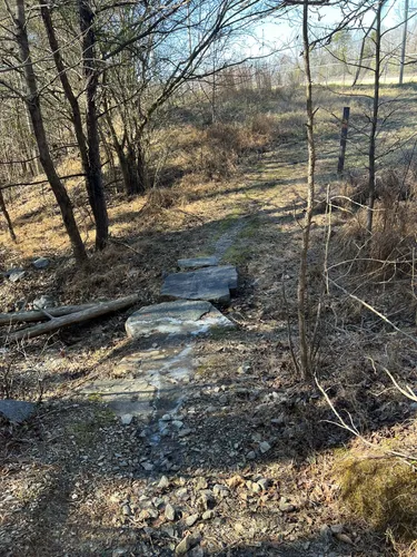 Best Hikes and Trails in Dan Daniel Memorial Park | AllTrails