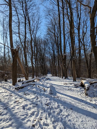 Best Hikes and Trails in Hinder Area | AllTrails