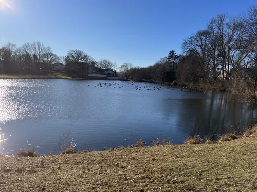 Best Hikes and Trails in Black Brook Park | AllTrails