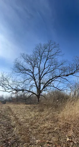 Best Hikes and Trails in Jim Edgar Panther Creek State Fish and ...