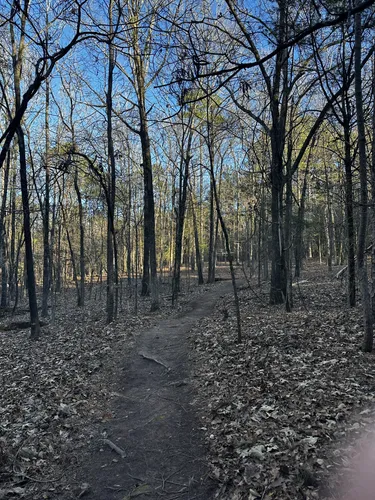 Best Hikes and Trails in Calhoun Falls State Park | AllTrails