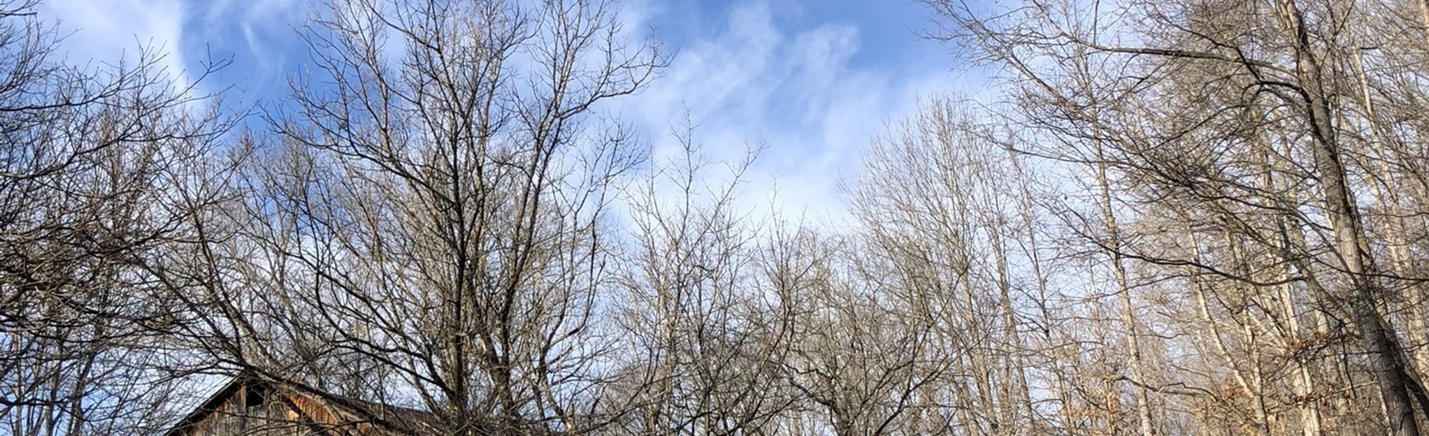 AllTrails | Sculpture Trails Outdoor Museum: 46 Reviews, Map - Indiana