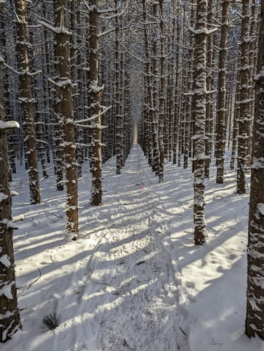 Best Hikes and Trails in Trail Hub | AllTrails