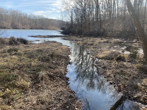 2023 Best Forest Trails in Chaffee | AllTrails