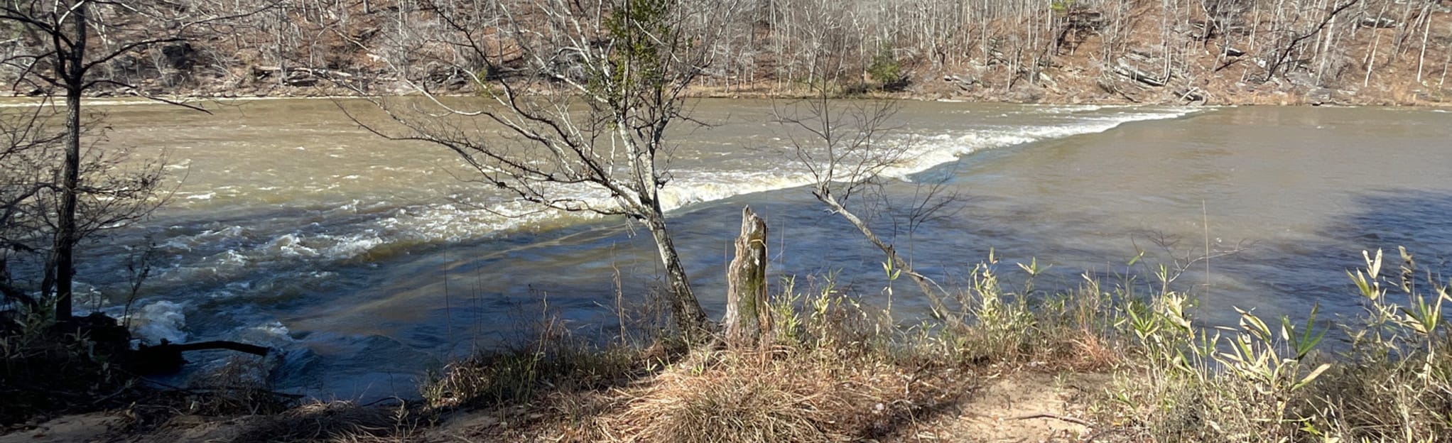 Flint River Route | Map, Guide - Georgia | AllTrails