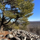 Jackson Trail, Pennsylvania - 196 Reviews, Map | AllTrails
