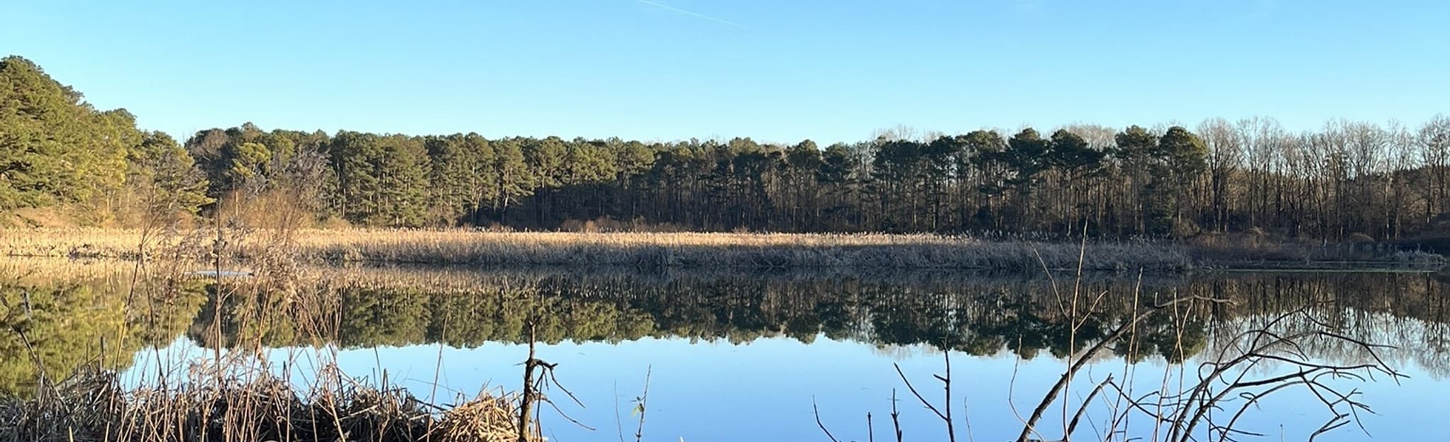 Opelika Wood Duck Heritage Park and Siddique Nature Preserve: 80 ...