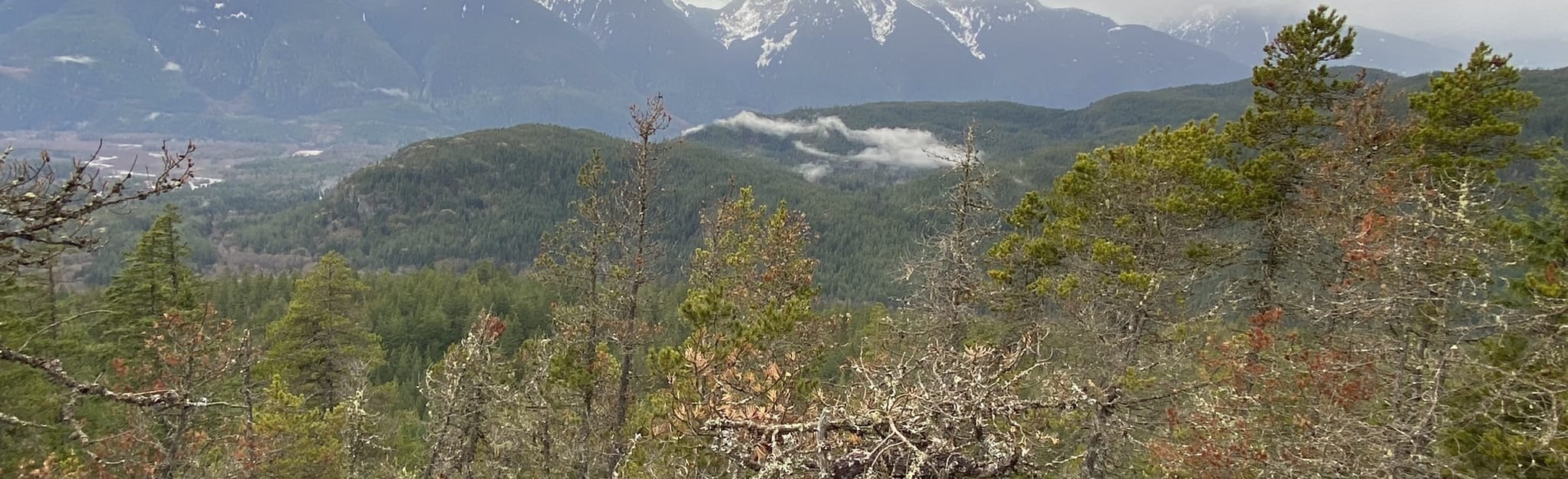 Cheakamus Loop and Tantalus View Trail via East High Trail: 3 Reviews ...