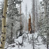 Rainbow Trail, Colorado - 59 Reviews, Map | AllTrails